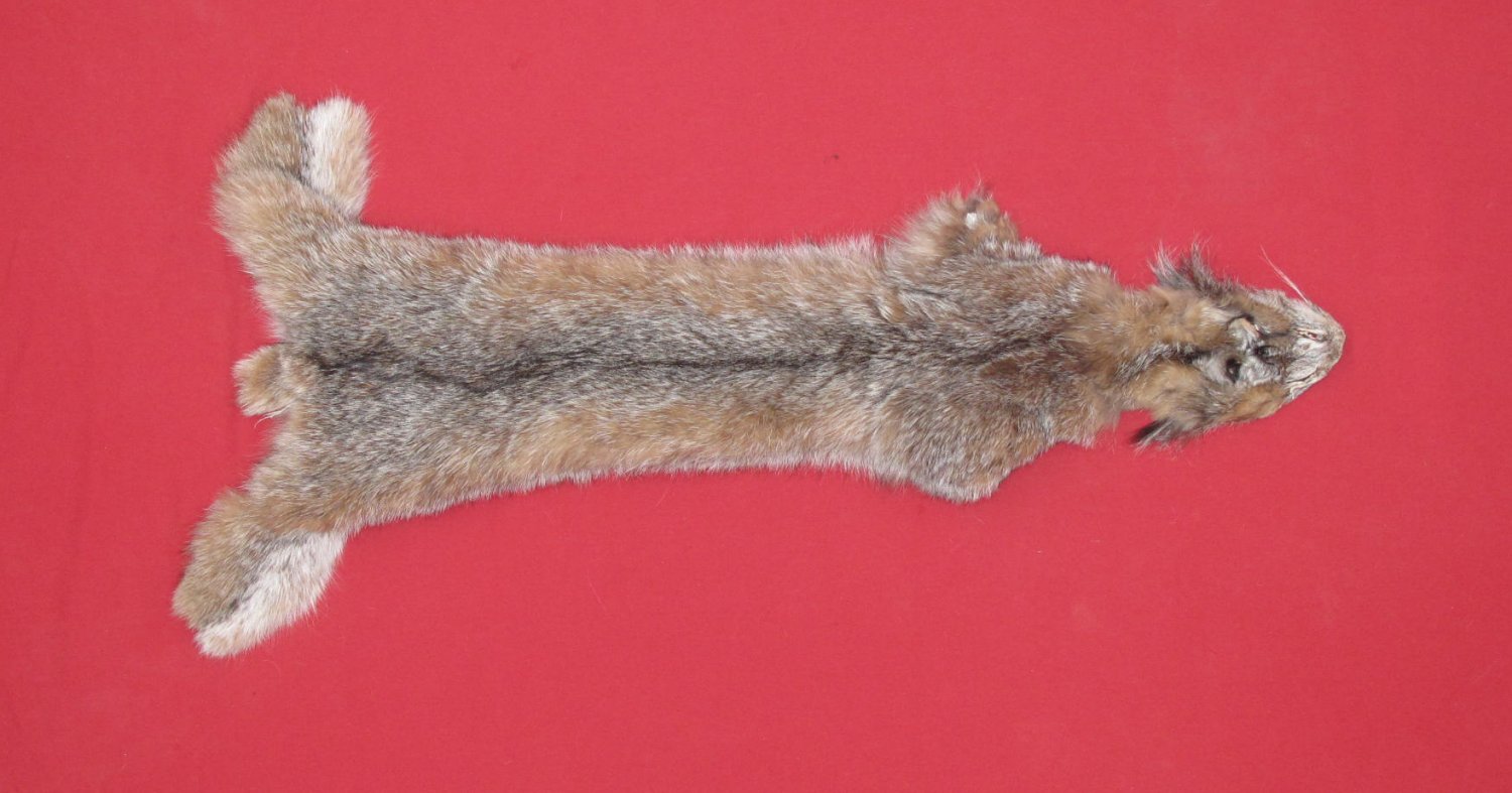 Tanned Furs : CANADIAN LYNX (6210-0321) : hideandfur.com
