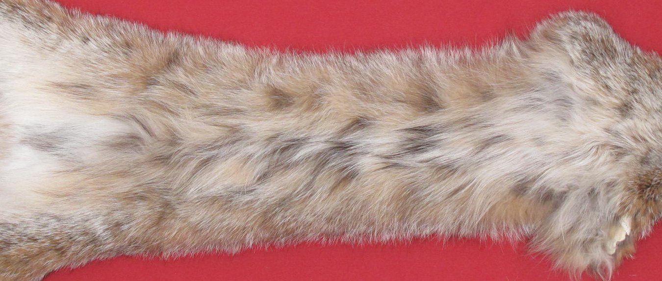 Tanned Furs : CANADIAN LYNX (6210-0321) : hideandfur.com