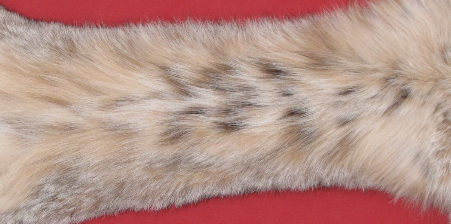 Tanned Furs : CANADIAN LYNX - TAXIDERMY QUALITY (6212-0093 ...