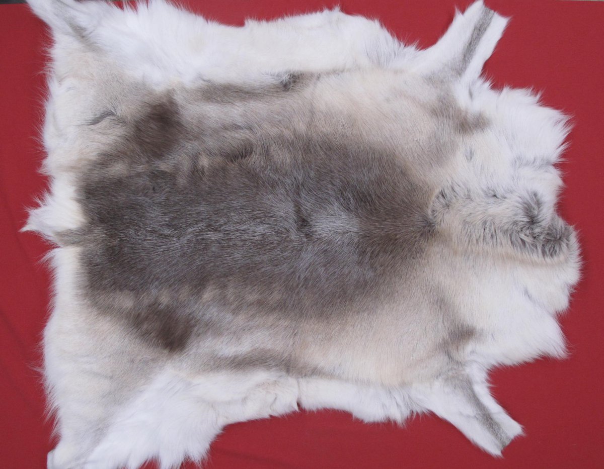 Tanned Furs : CARIBOU / REINDEER (6220-0025) : hideandfur.com