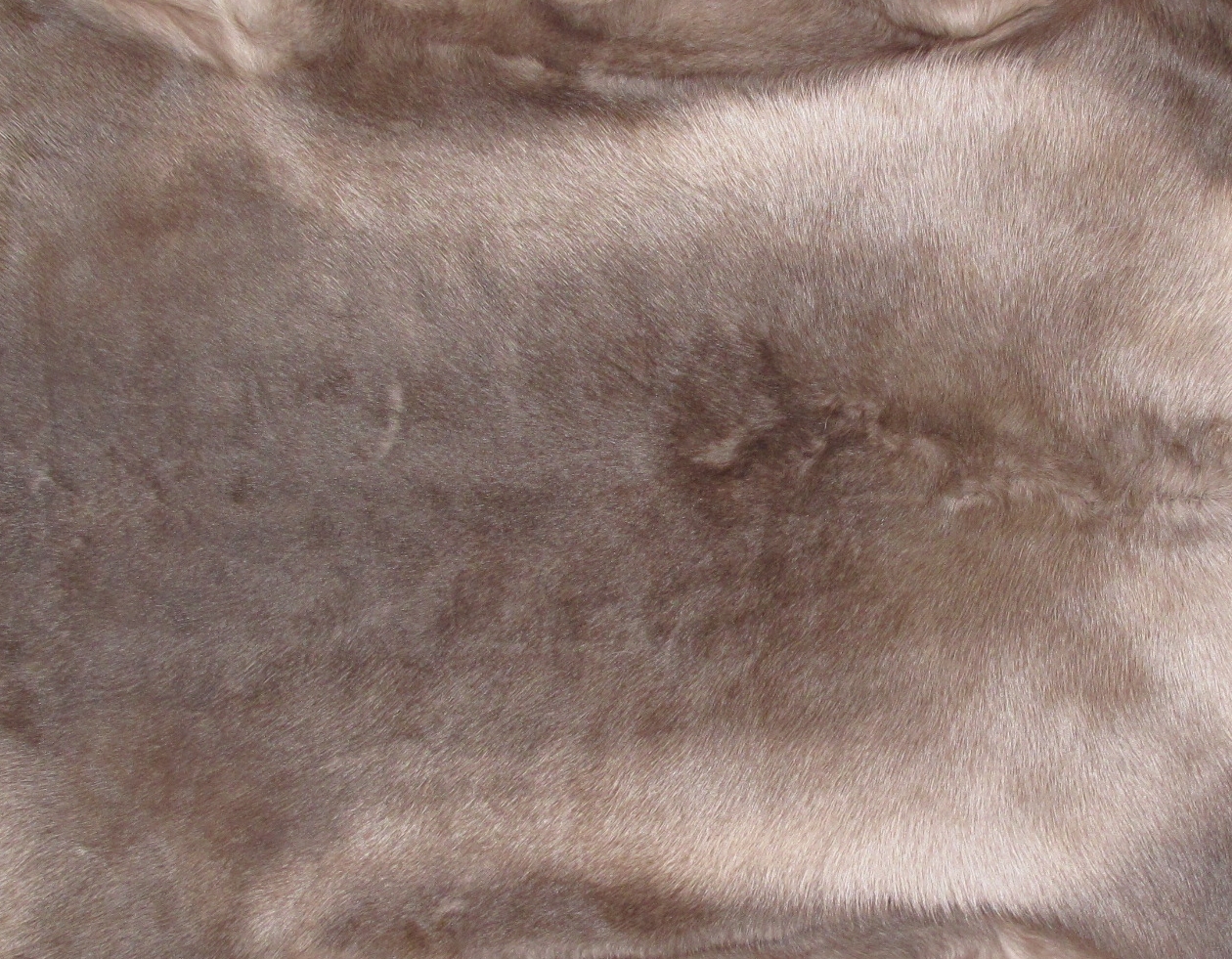 Tanned Furs : CARIBOU / REINDEER (6220-0118) : hideandfur.com