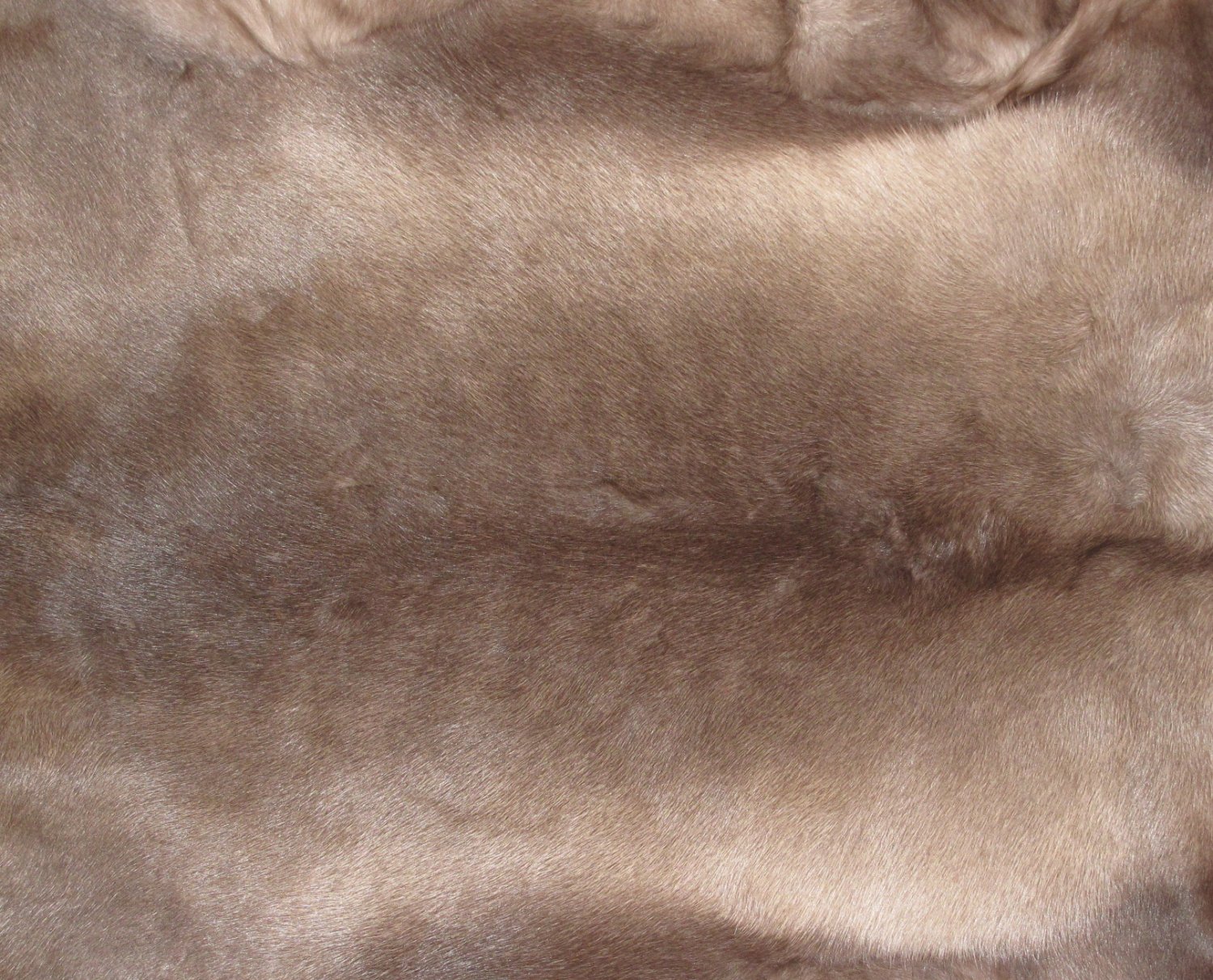 Tanned Furs : CARIBOU / REINDEER (6220-0250) : hideandfur.com