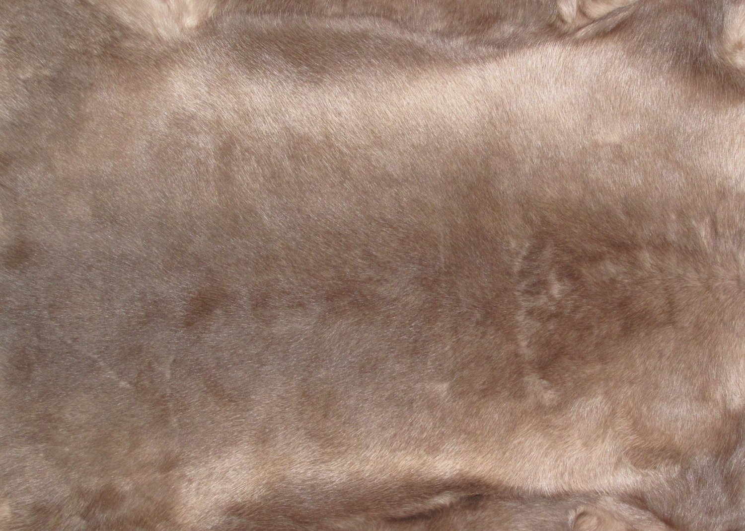 Tanned Furs : CARIBOU / REINDEER (6220-0257) : hideandfur.com