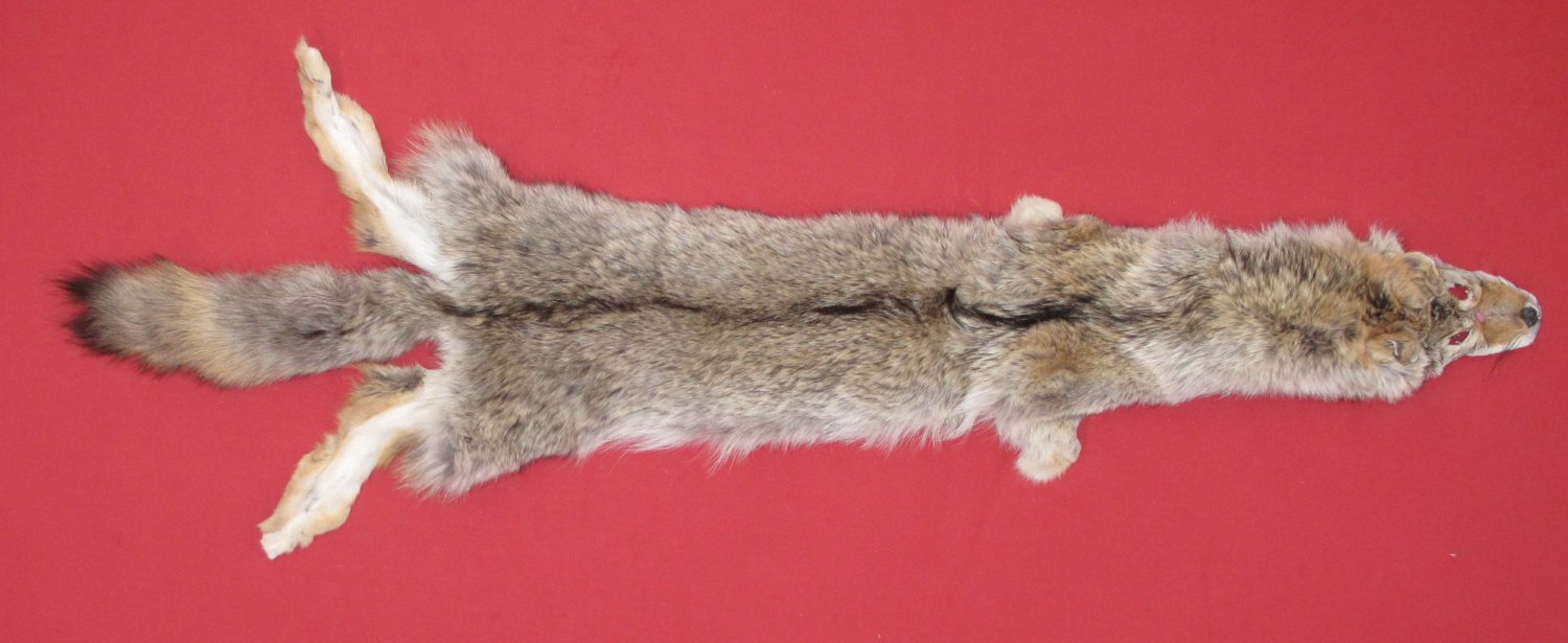 Tanned Furs : COYOTE (6350-3912) : hideandfur.com