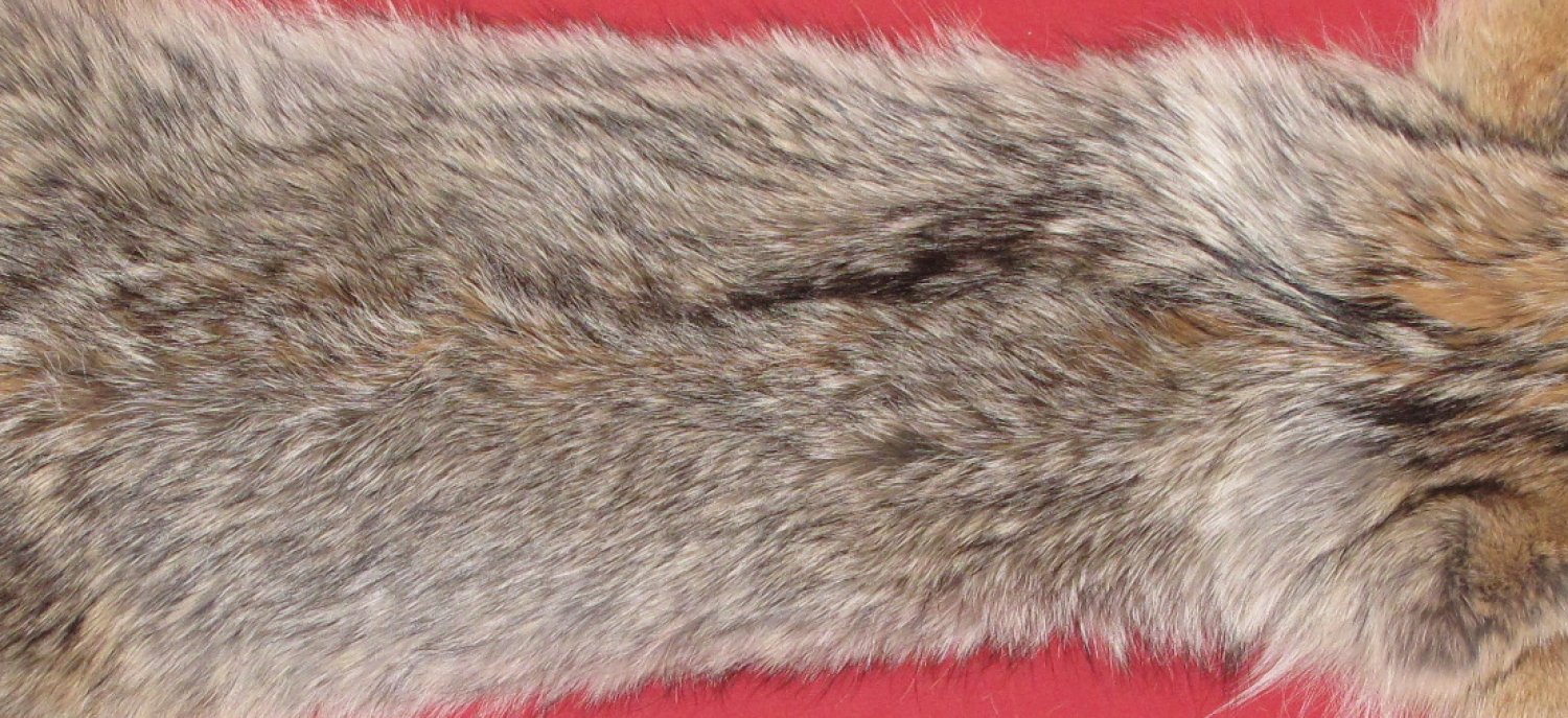 Tanned Furs : COYOTE (6350-3954) : hideandfur.com