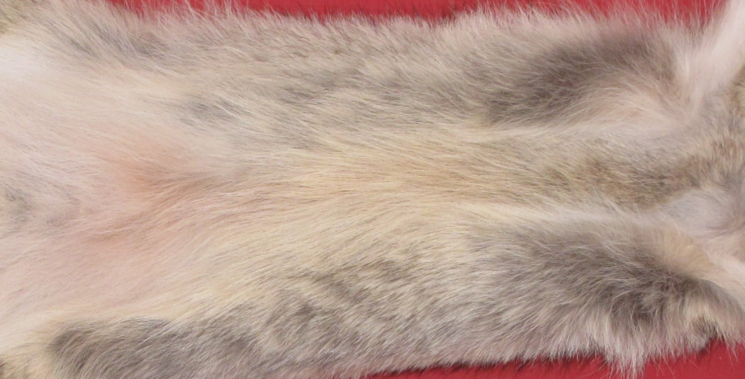 Tanned Furs : COYOTE (6350-3955) : hideandfur.com