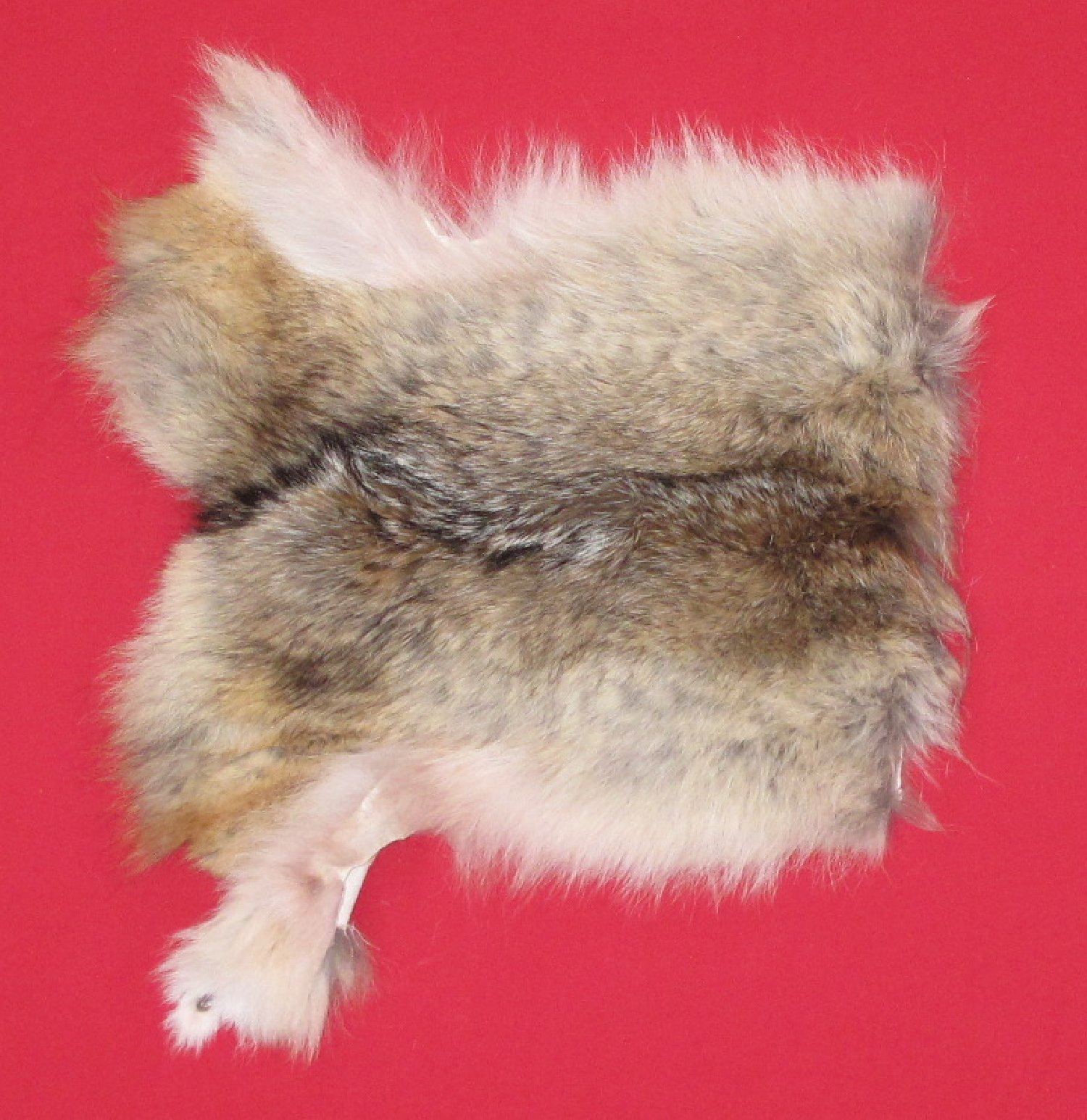 Tanned Furs : COYOTE (6350-4157) : hideandfur.com