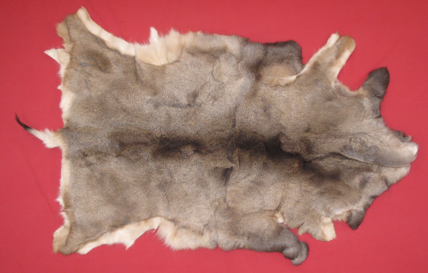 Tanned Furs : MULE DEER - HIDES (6382-9917) : hideandfur.com