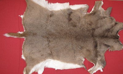 Tanned White Tail Deer Hides, Furs, Pelts, Skins for sale by www ...