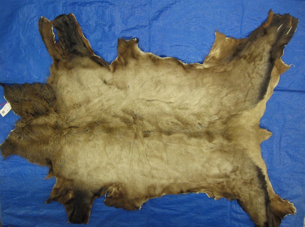 Tanned Furs : ELK - HIDES (6412-0269) : hideandfur.com
