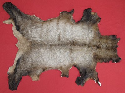 Tanned Elk Hides, Furs, Pelts, Skins for sale by www.hideandfur.com