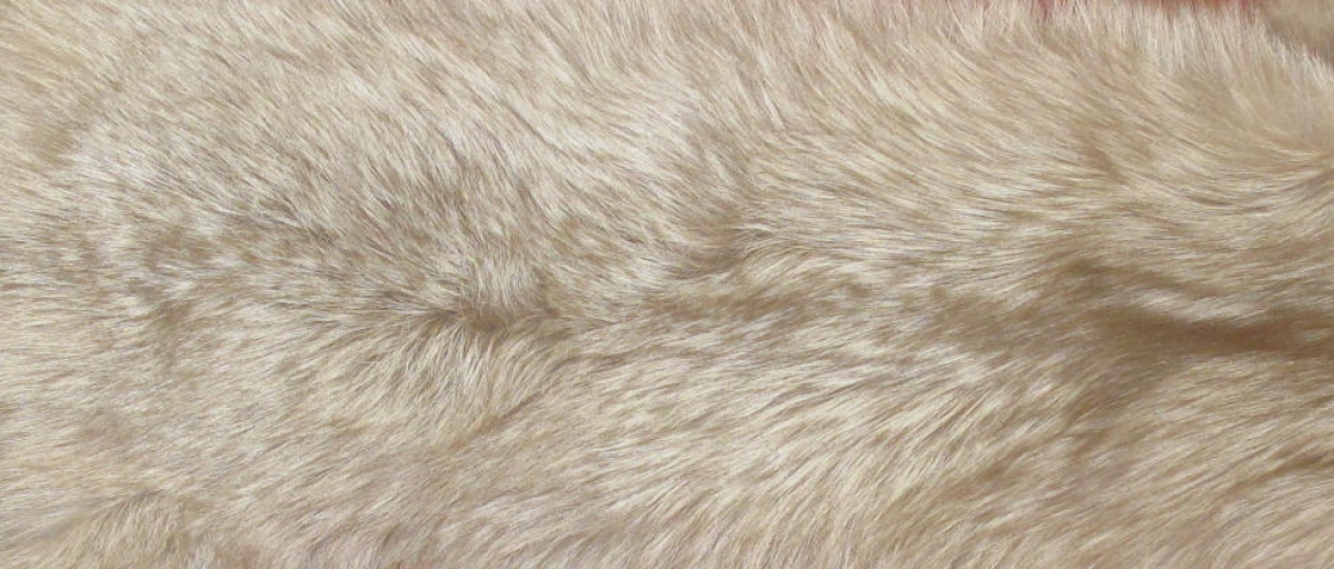 Tanned Furs : AMBER FOX (6510-0095) : hideandfur.com