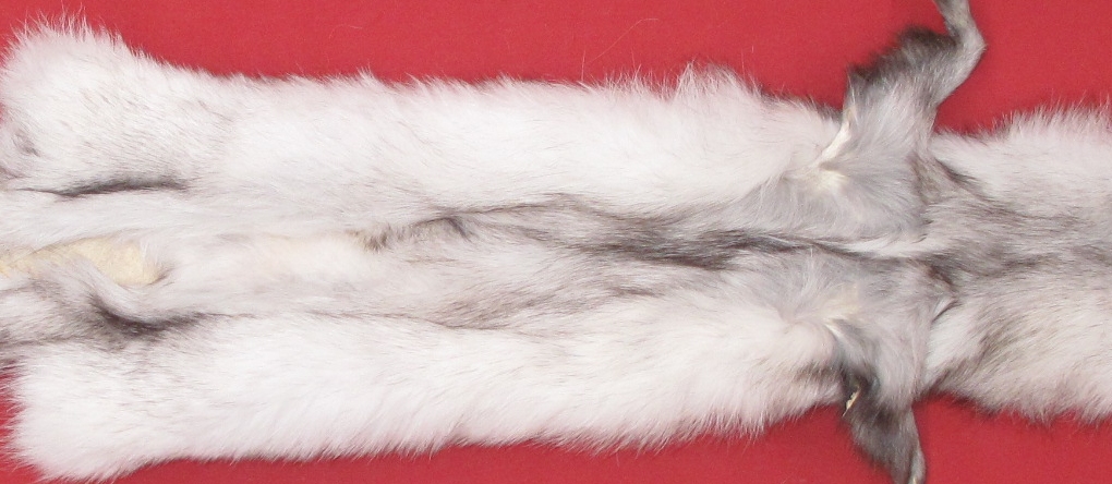 Tanned Furs : BLUE FOX (6555-0381) : hideandfur.com