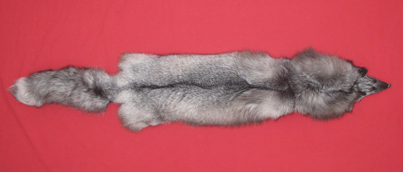 Tanned Furs : BLUE FROST FOX (6570-0064) : hideandfur.com