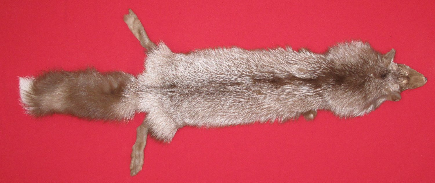 Tanned Furs : BURGUNDY FOX (6600-0064) : hideandfur.com