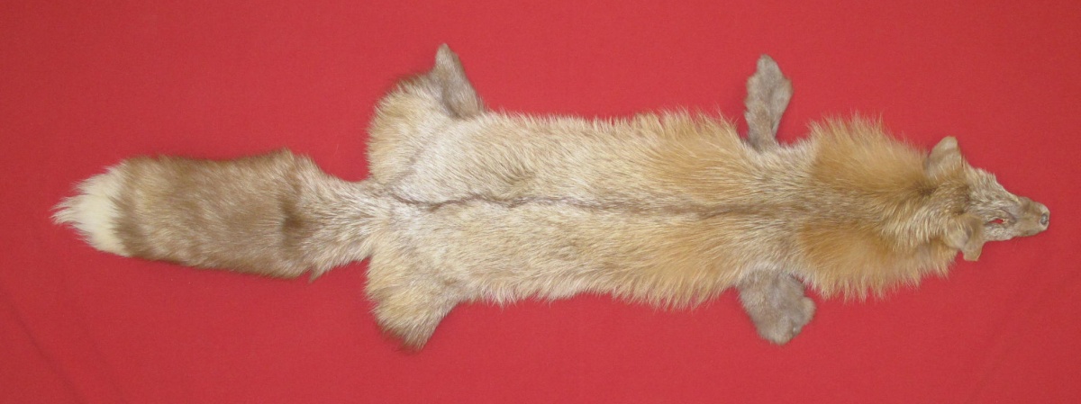 Tanned Furs : BURGUNDY CROSS FOX (6602-0002) : hideandfur.com