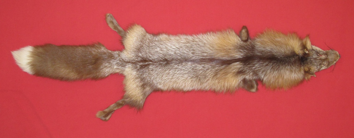 Tanned Burgundy Cross Fox Hides, Furs, Pelts, Skins for sale by www ...