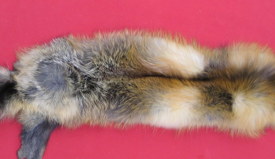 Tanned Furs : CROSS FOX (6660-0156) : hideandfur.com