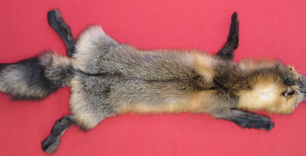 Tanned Furs : CROSS FOX (6660-0222) : hideandfur.com