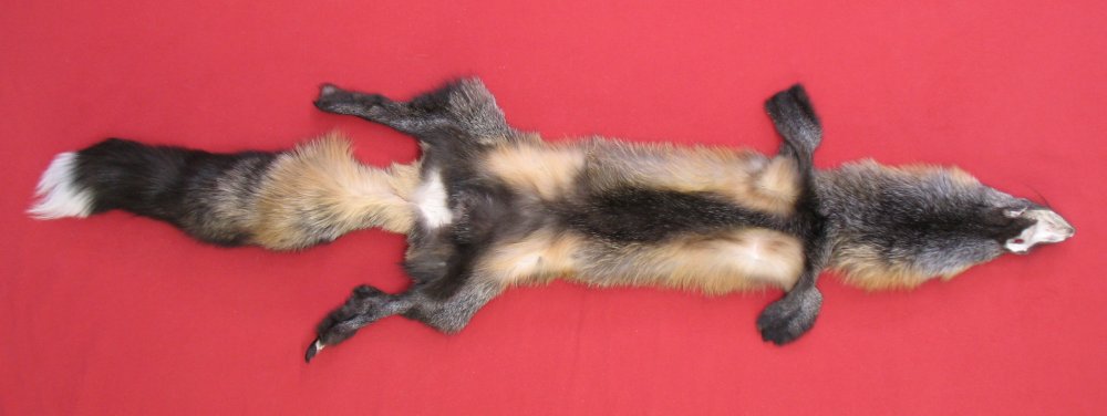 Tanned Furs : CROSS FOX (6660-0230) : hideandfur.com