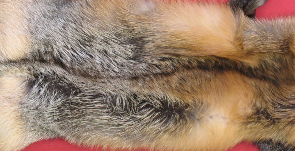 Tanned Furs : CROSS FOX (6660-0233) : hideandfur.com