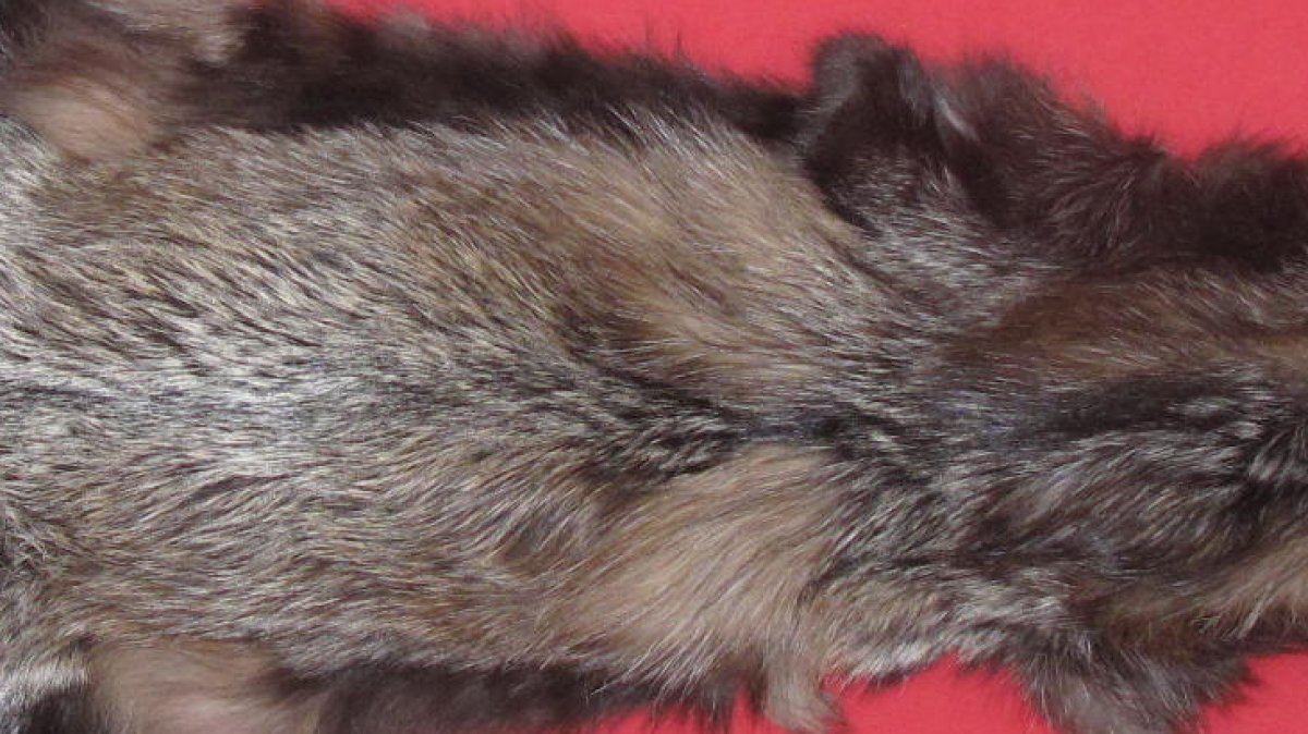 Tanned Furs : CROSS FOX (6660-0295) : hideandfur.com