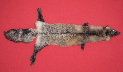 Tanned Cross Fox Hides, Furs, Pelts, Skins for sale by www.hideandfur.com