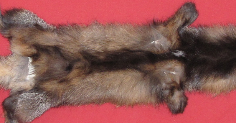 Tanned Furs : CROSS FOX (6660-0335) : hideandfur.com
