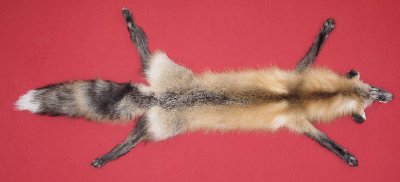 Tanned Cross Fox Hides, Furs, Pelts, Skins for sale by www.hideandfur.com