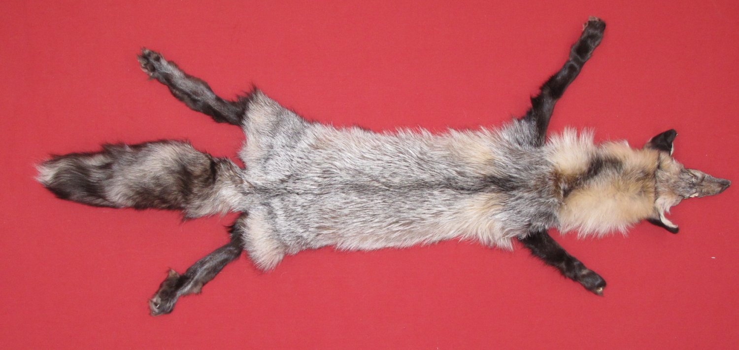 Tanned Furs : CROSS FOX (6660-0376) : hideandfur.com