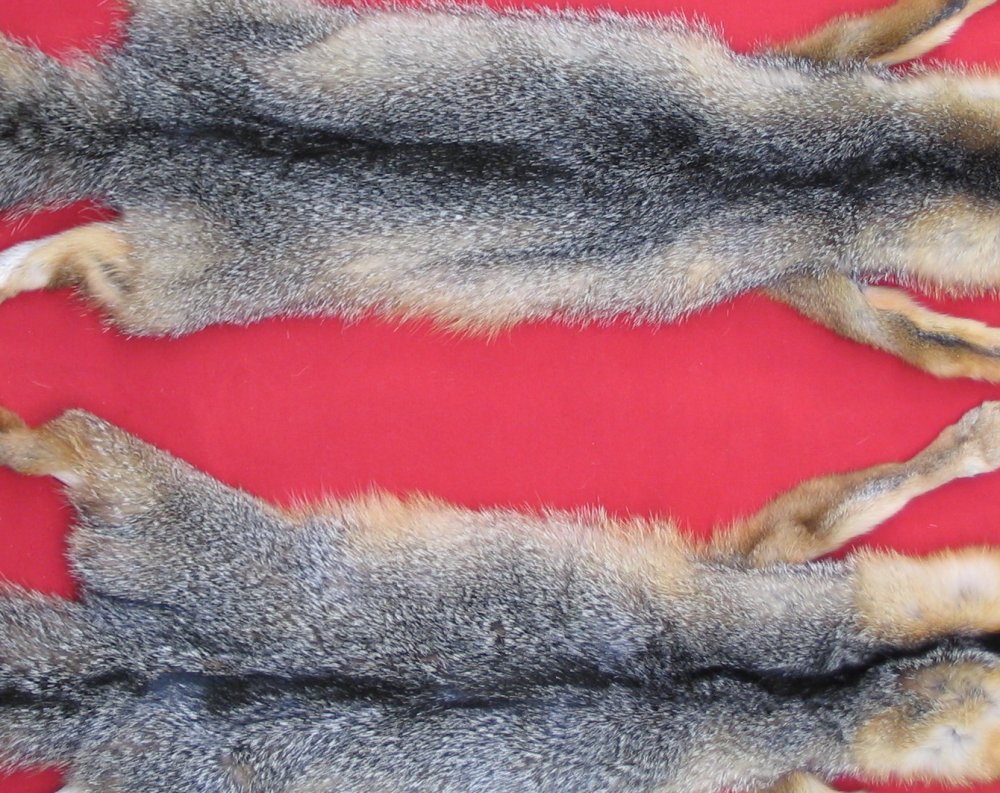 Tanned Furs : GREY FOX (6750-0522) : hideandfur.com