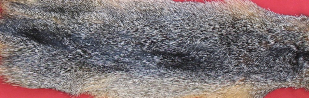 Tanned Furs : GREY FOX (6750-0631) : hideandfur.com