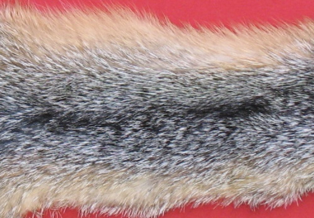 Tanned Furs : GREY FOX (6750-0660) : hideandfur.com