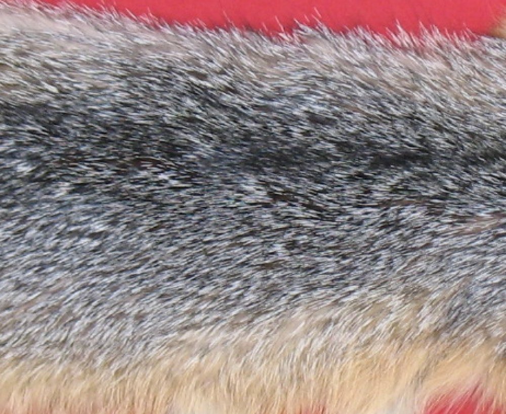 Tanned Furs : GREY FOX (6750-0663) : hideandfur.com