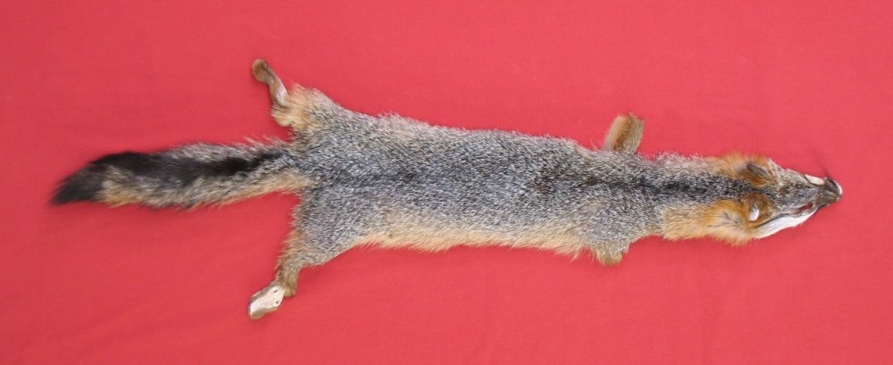 Tanned Furs : GREY FOX (6750-0760) : hideandfur.com