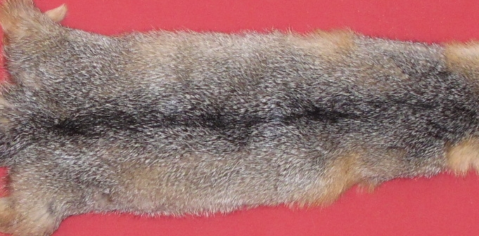 Tanned Furs : GREY FOX (6750-0892) : hideandfur.com