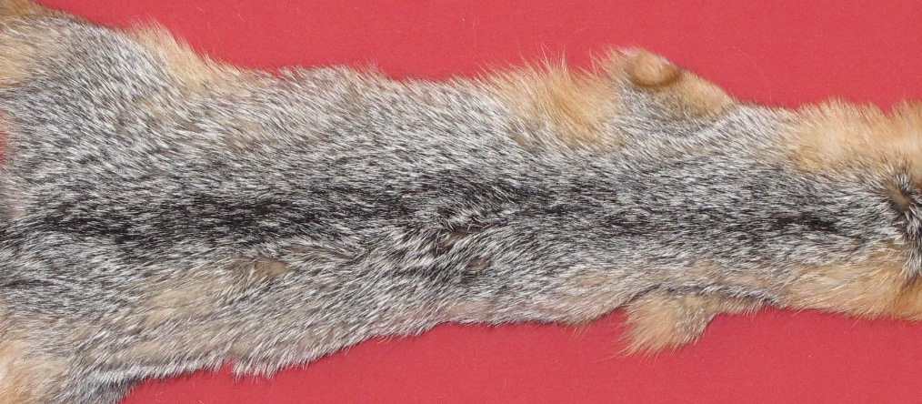 Tanned Furs : GREY FOX (6750-0926) : hideandfur.com