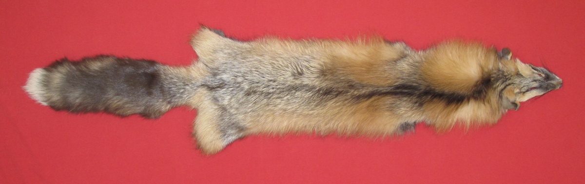 Tanned Furs : PEARL CROSS FOX (6810-0027) : hideandfur.com