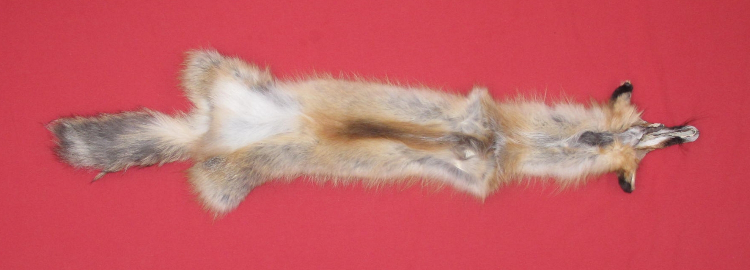 Tanned Furs : RED FOX (6900-1551) : hideandfur.com