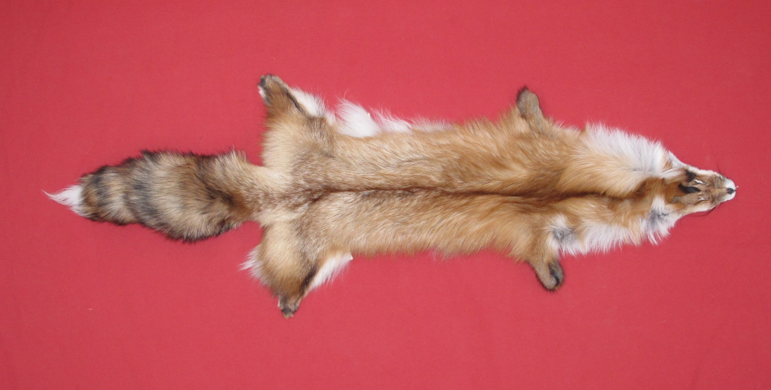 Tanned Furs : RED FOX (6900-1720) : hideandfur.com