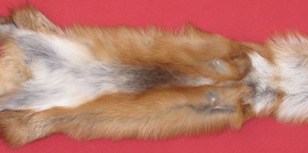 Tanned Furs : RED FOX (6900-1771) : hideandfur.com