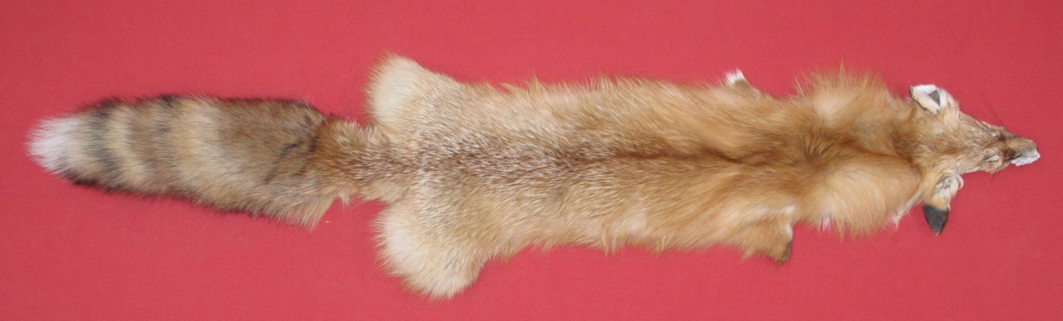 Tanned Furs : RED FOX (6900-2014) : hideandfur.com
