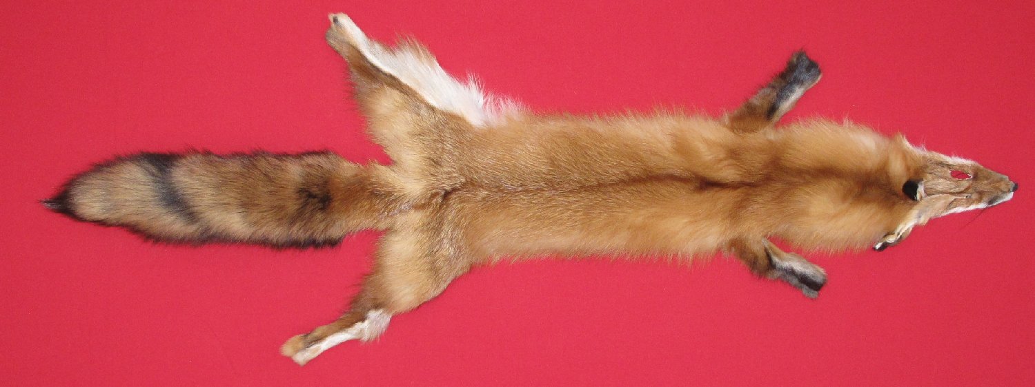 Tanned Furs : RED FOX (6900-2167) : hideandfur.com