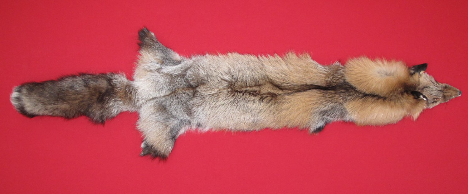 Tanned Furs : RED FOX (6900-2187) : hideandfur.com