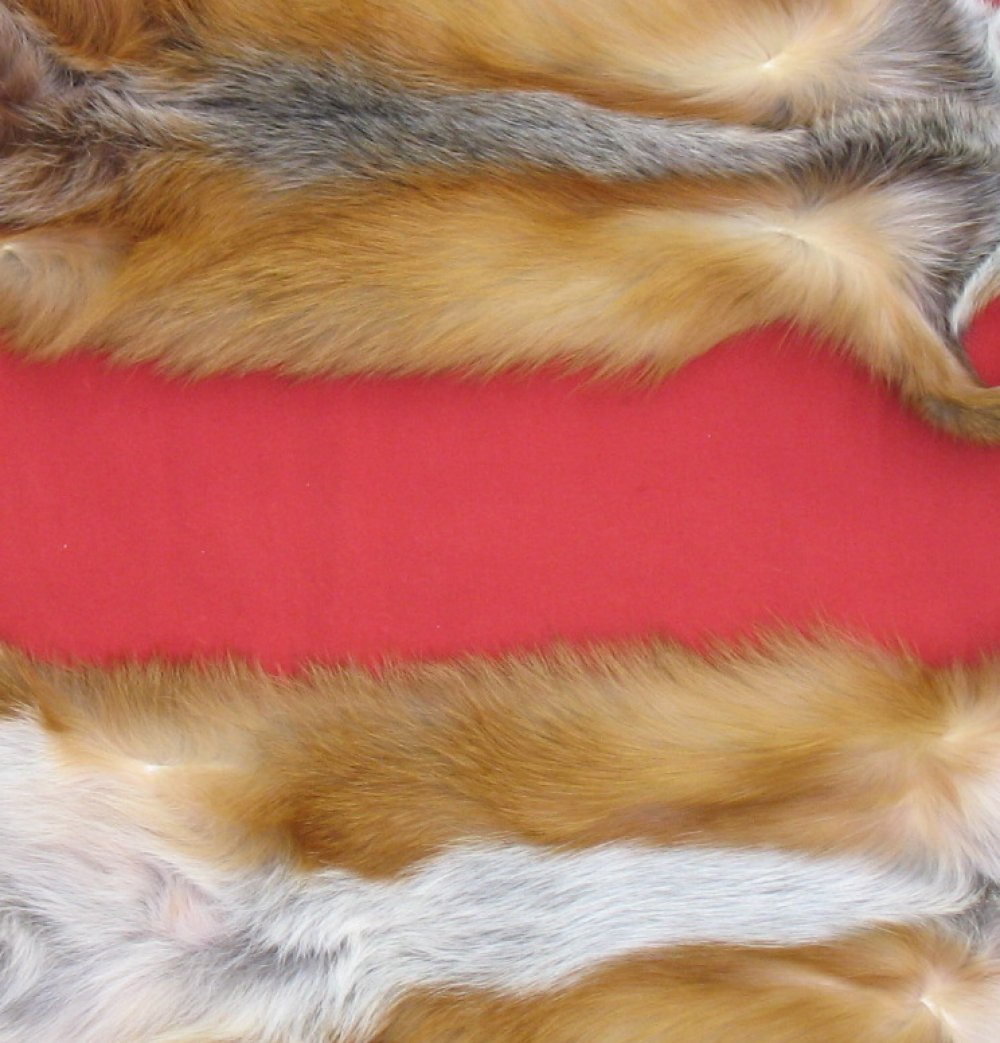 Tanned Furs : RED FOX - TAXIDERMY QUALITY (6901-0204) : hideandfur.com