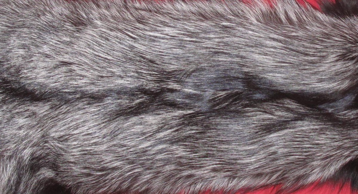 Tanned Furs : SILVER FOX (6960-0816) : hideandfur.com