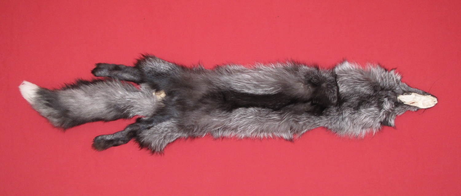 Tanned Furs : SILVER FOX (6960-0900) : hideandfur.com