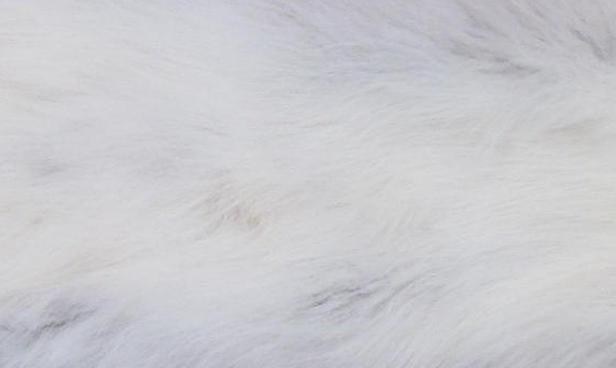 Tanned Furs : WHITE FOX (7020-0424) : hideandfur.com