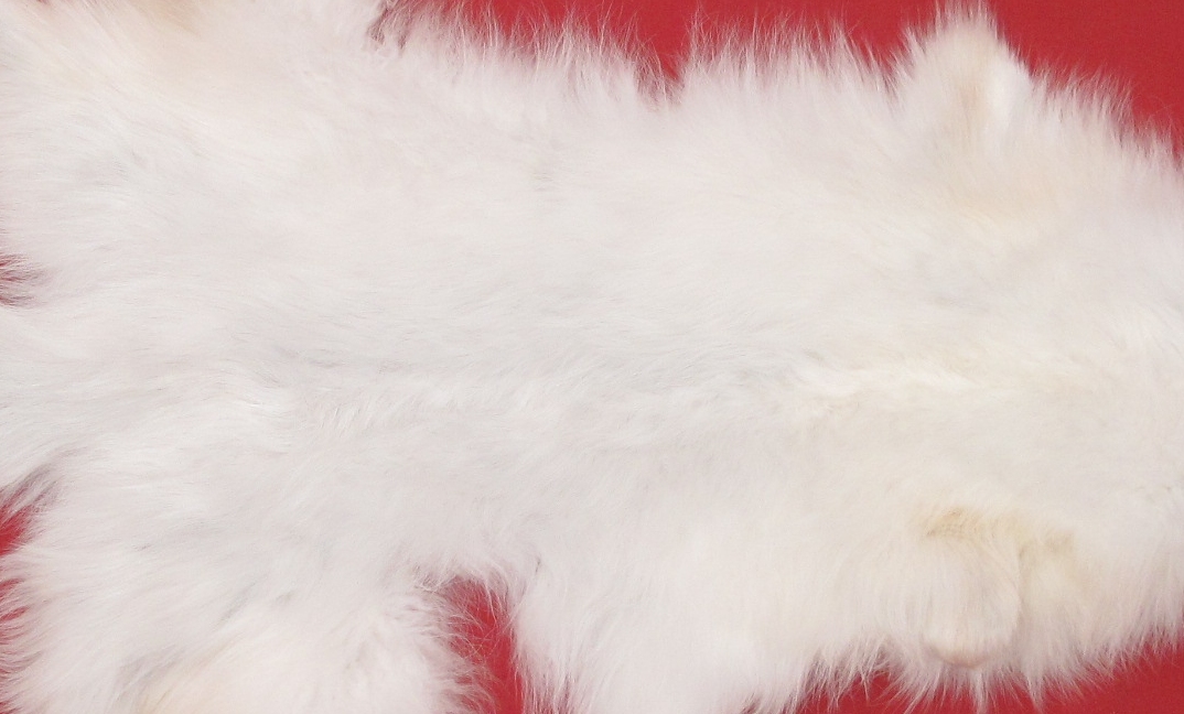 Tanned Furs : WHITE FOX (7020-0469) : hideandfur.com