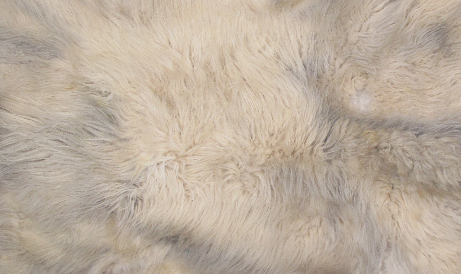 Tanned Furs : MOUNTAIN GOAT (7045-0010) : hideandfur.com